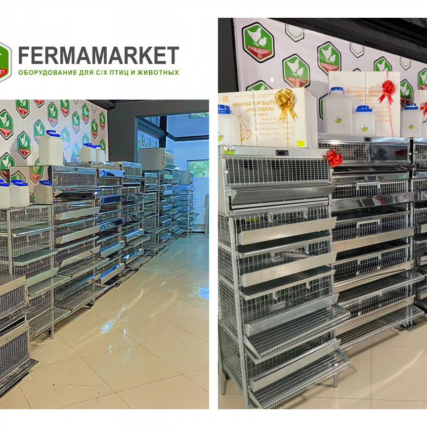 Клетки для перепелов Севастополь