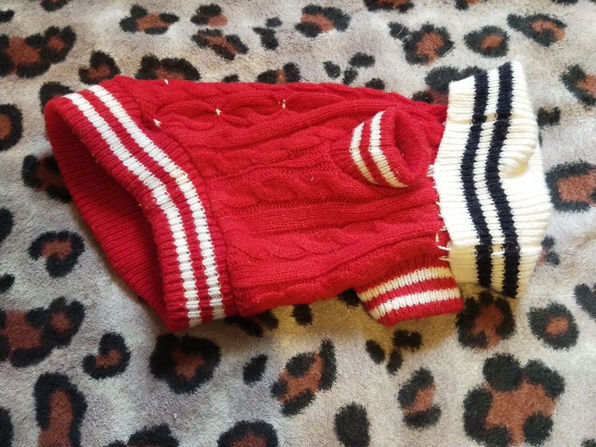 Одежда для кошки/собачки