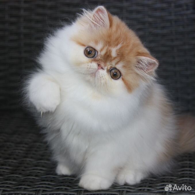 Иван да Марья