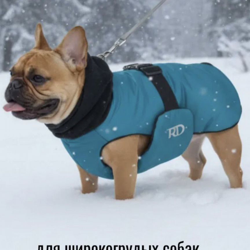 Одежда для крупных собак зима