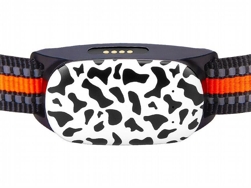 Gps ошейник для кошек