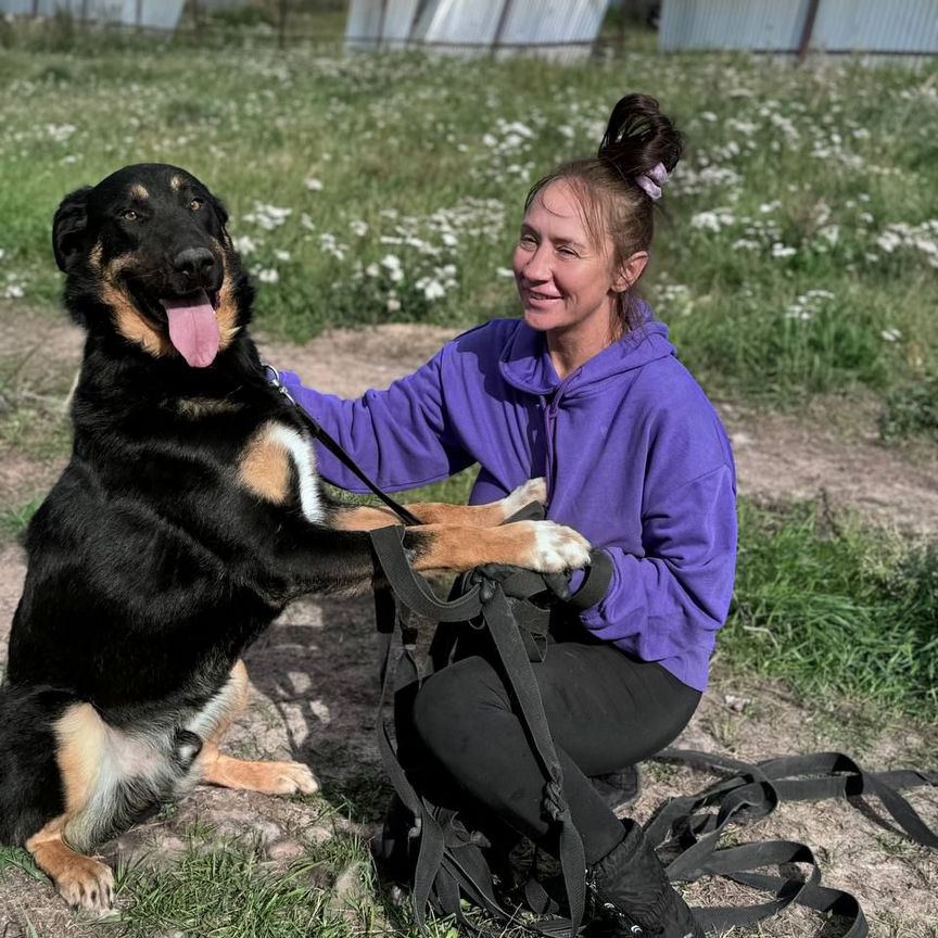 Стеснительный Бумер в поиске своих