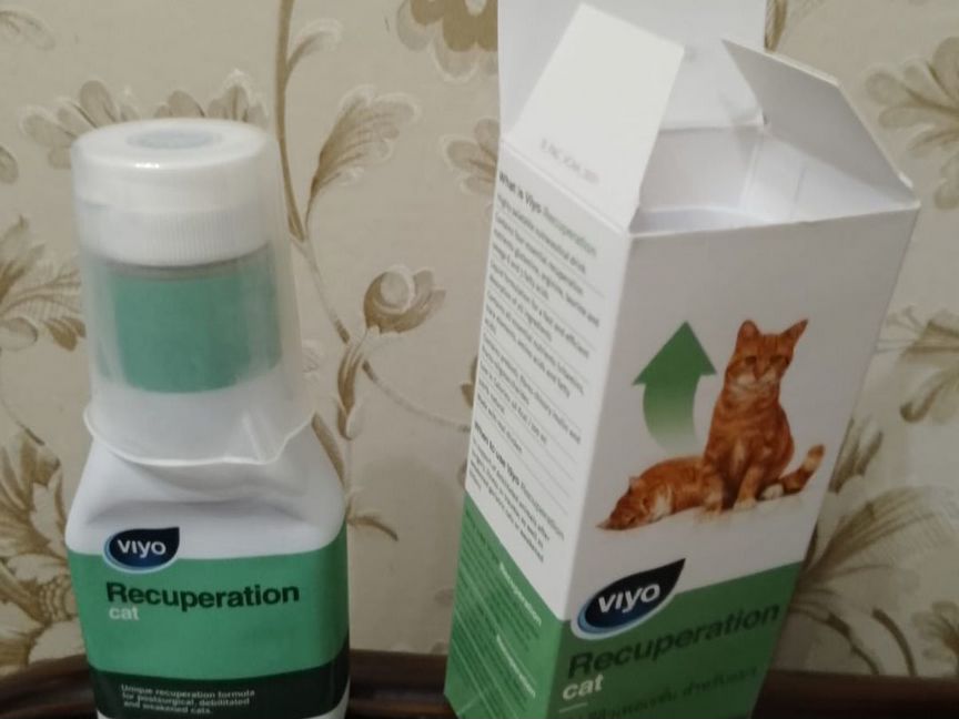 Напиток Viyo (Вийо) Recuperation Cat