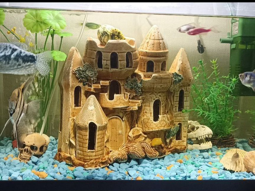 Аквариум с рыбками