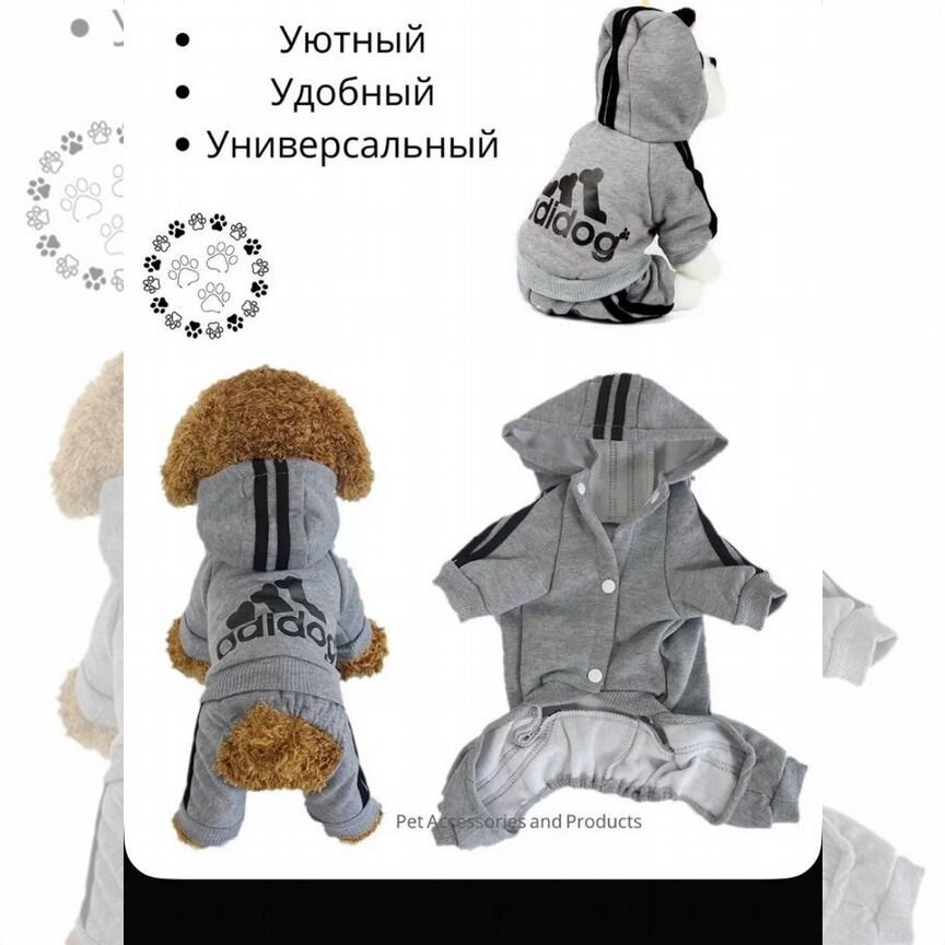 Одежда для собак