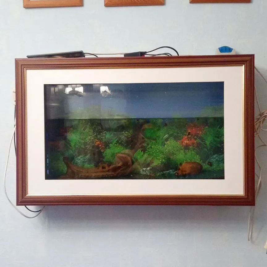 Аквариумные рыбки