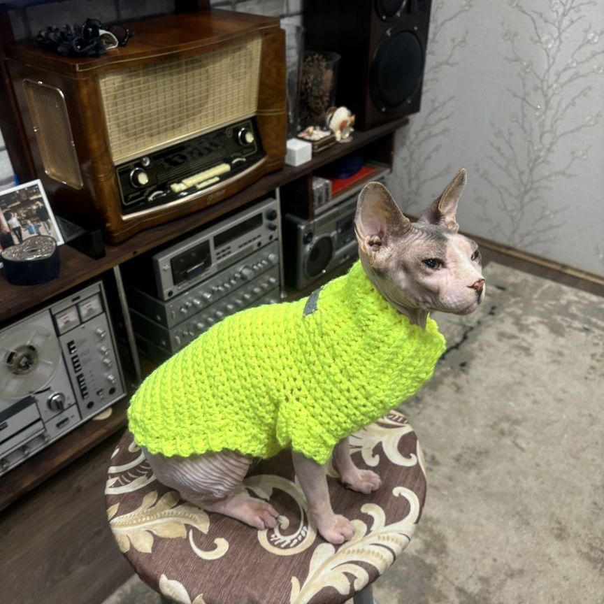 Свитер на кошку/маленькую собачку