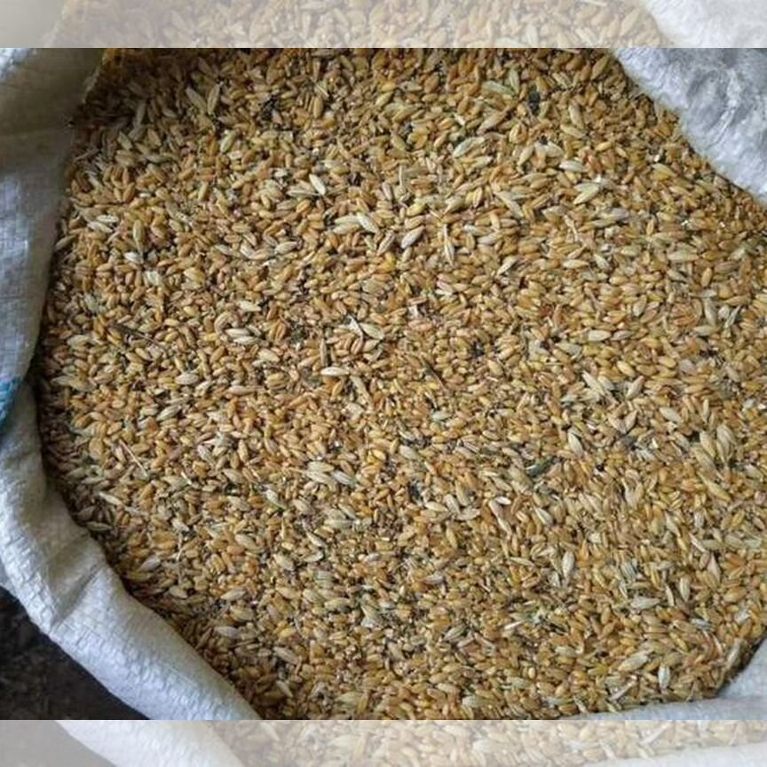 Зерноотходы