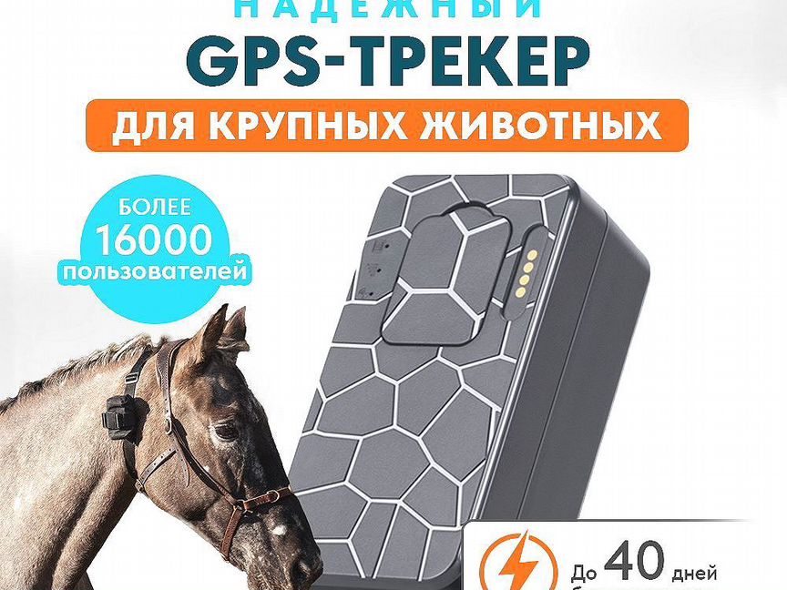 Gps ошейник для крс