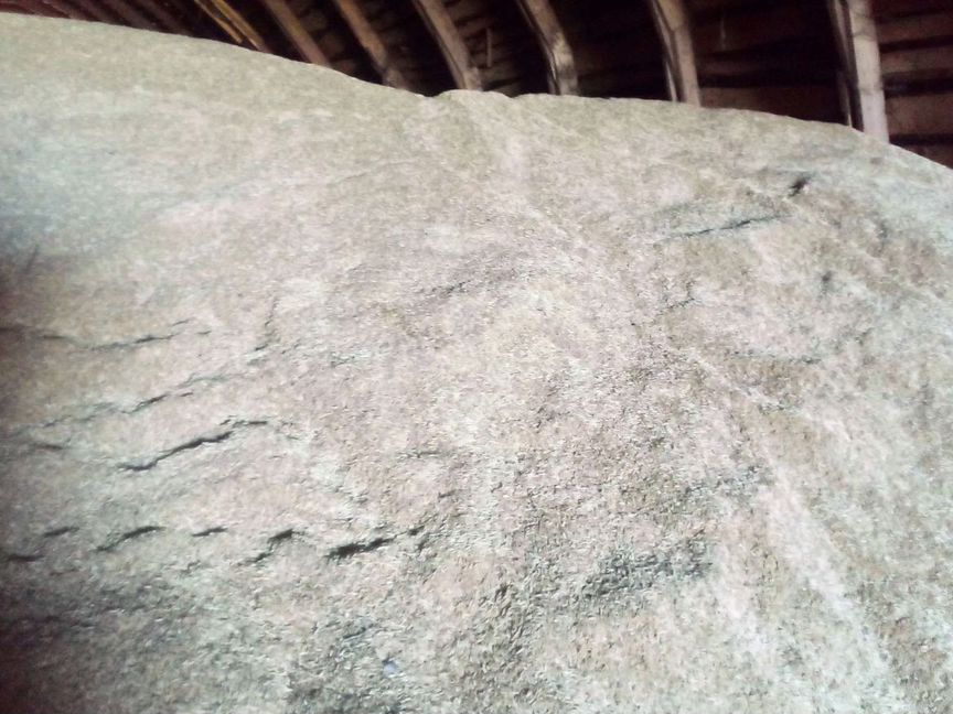 Гречиха, Пшеница озимая на корм