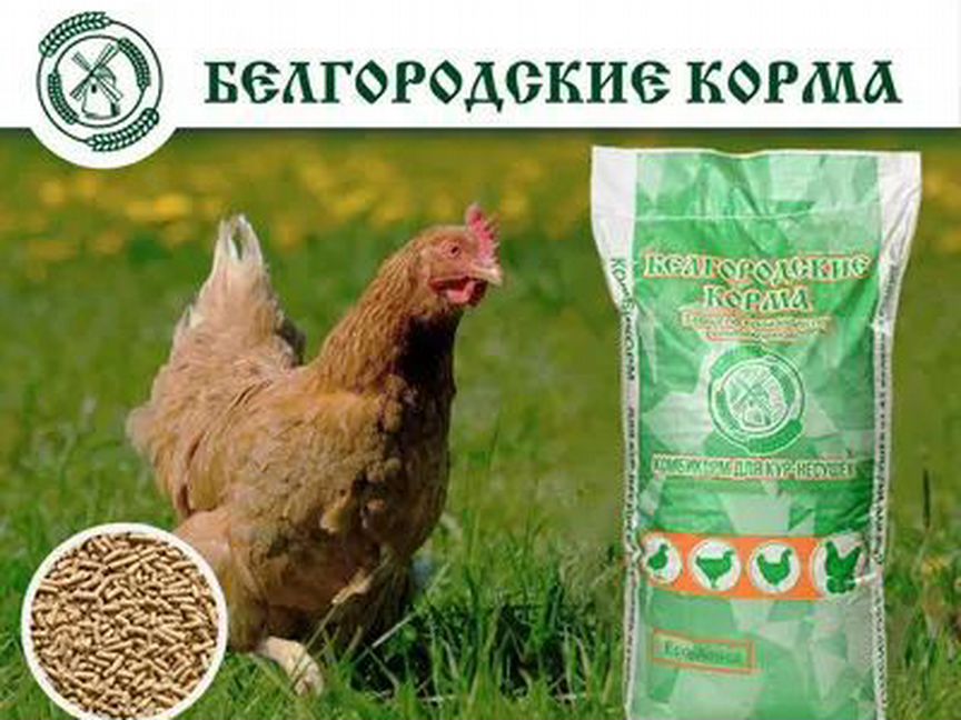 Комбикорм для с/х птицы и животных