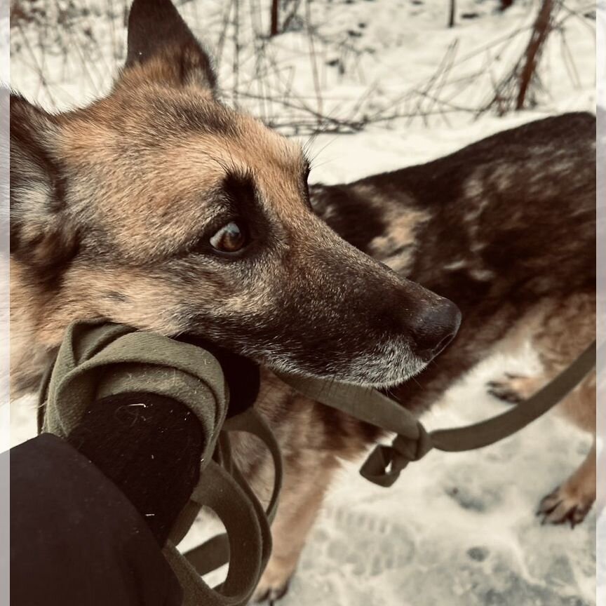 В глазах Бакса меркнет надежда