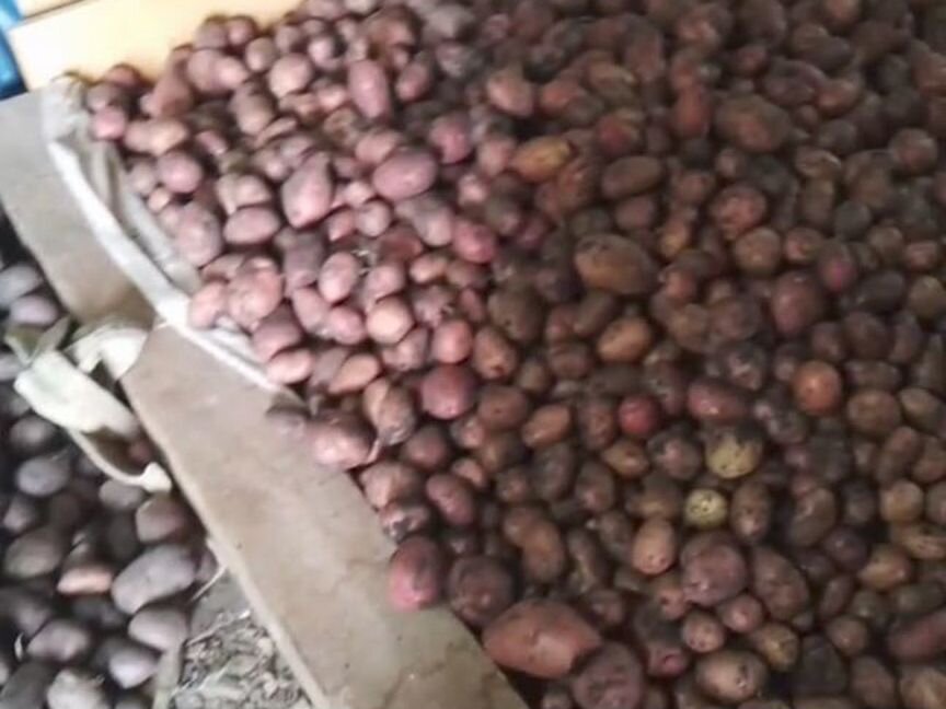 Едовой картофель, возможна доставка