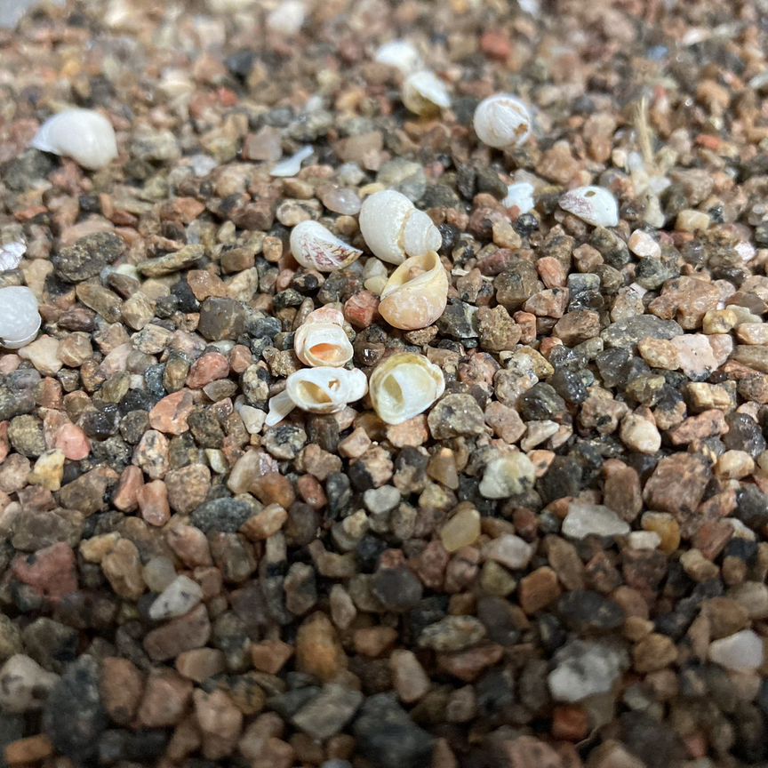 Гравий для кур