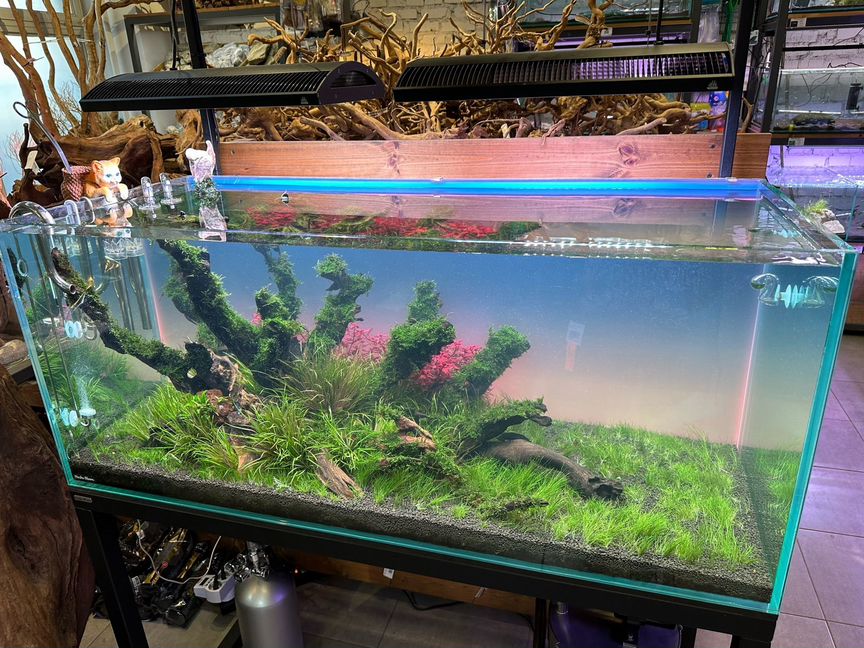 Аквариум 300 литров. Для рыбок и растений. Большой