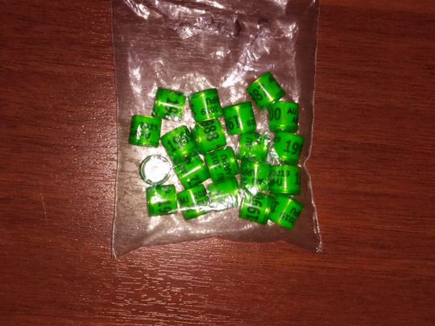 Кольца для голубей