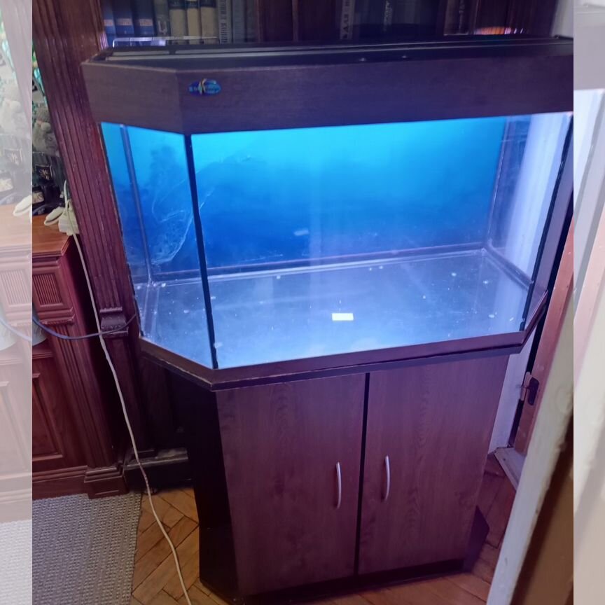 Аквариум панорамный на 140 литров с тумбой