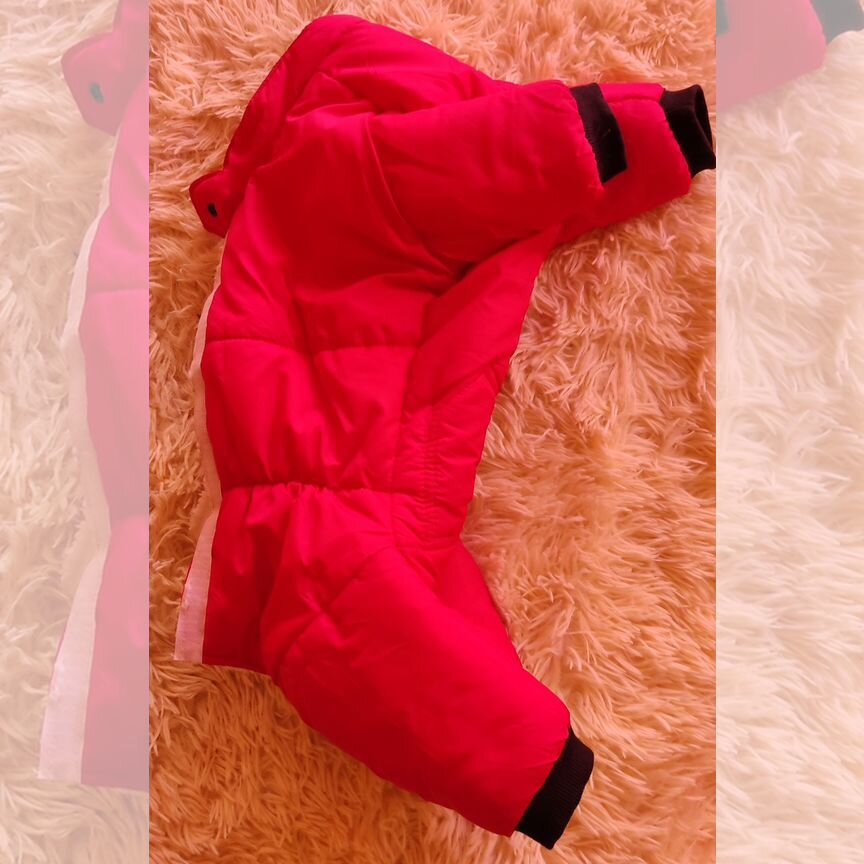 Комбинезон для собак мелких пород