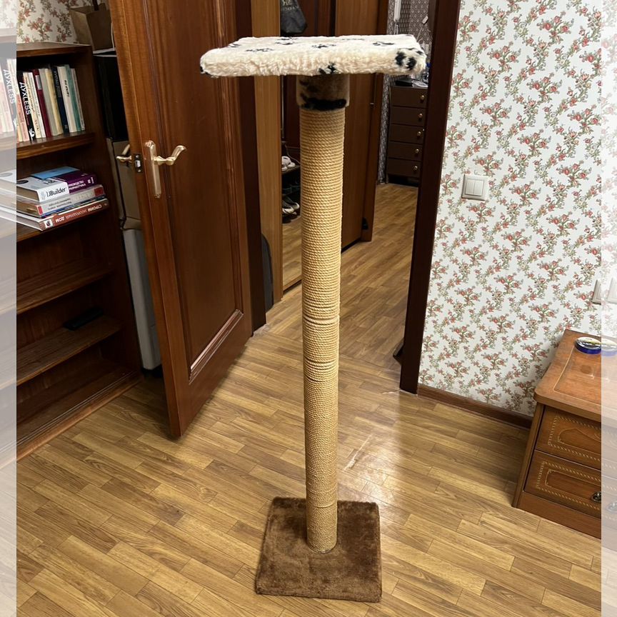 Когтеточка
