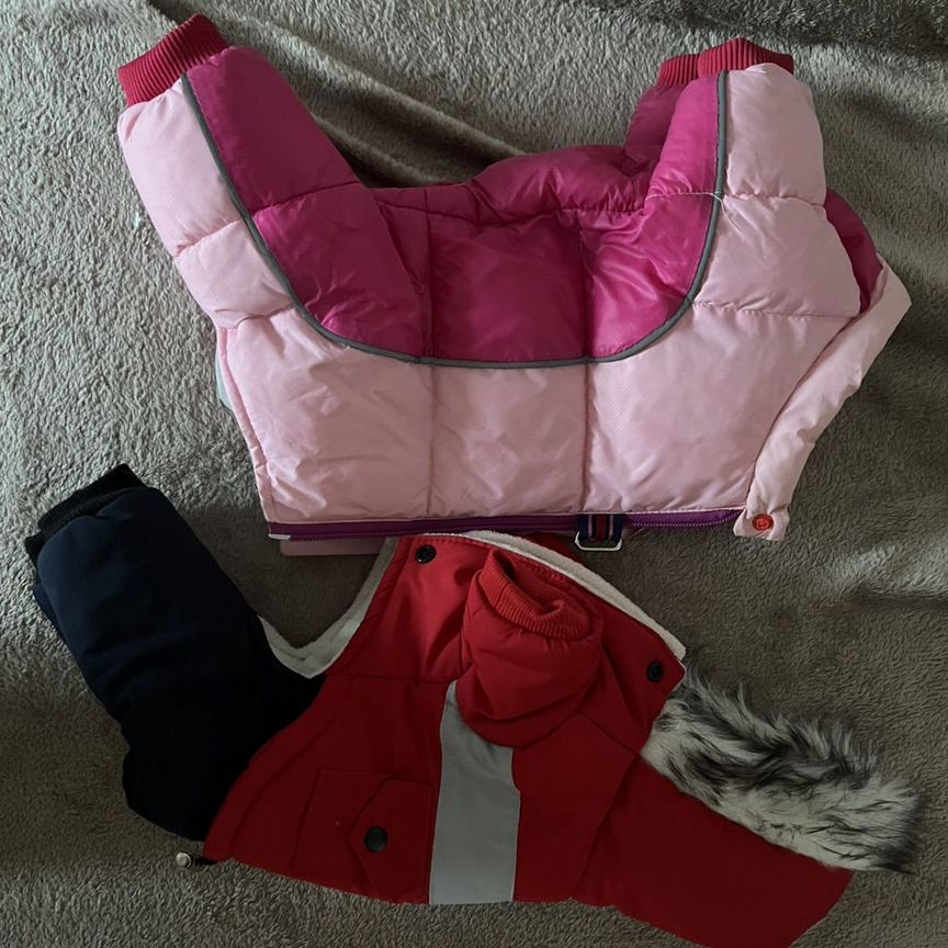 Одежда для собак мелких пород