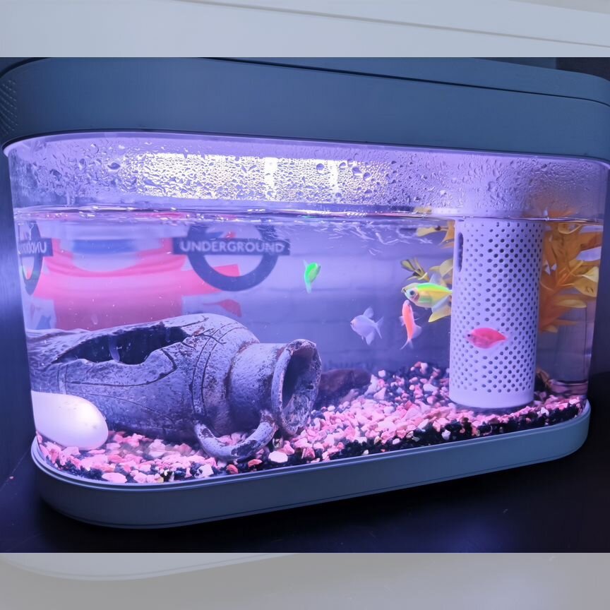 Аквариум xiaomi 8 литров