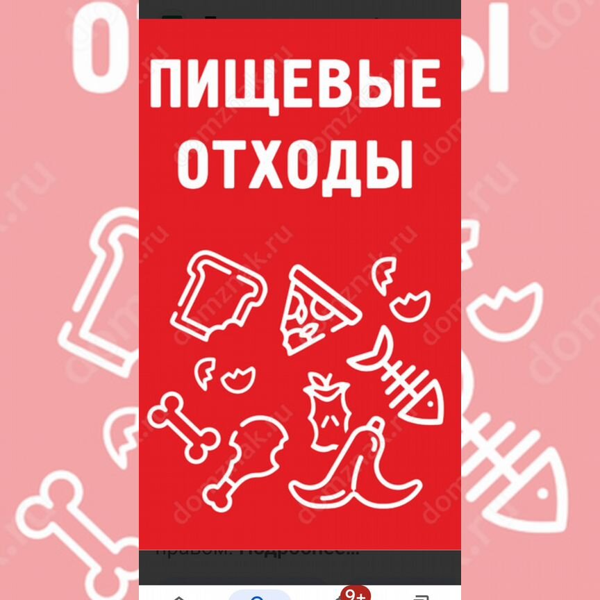 Пищевые отходы для животных