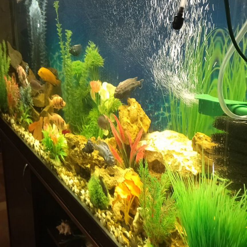 Продаю аквариум