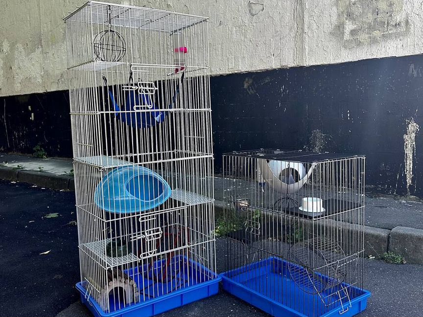 Клетка для крыс шиншилл дегу хорька