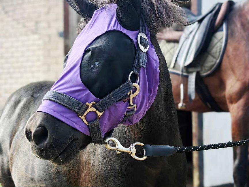 Москитная маска для лошади