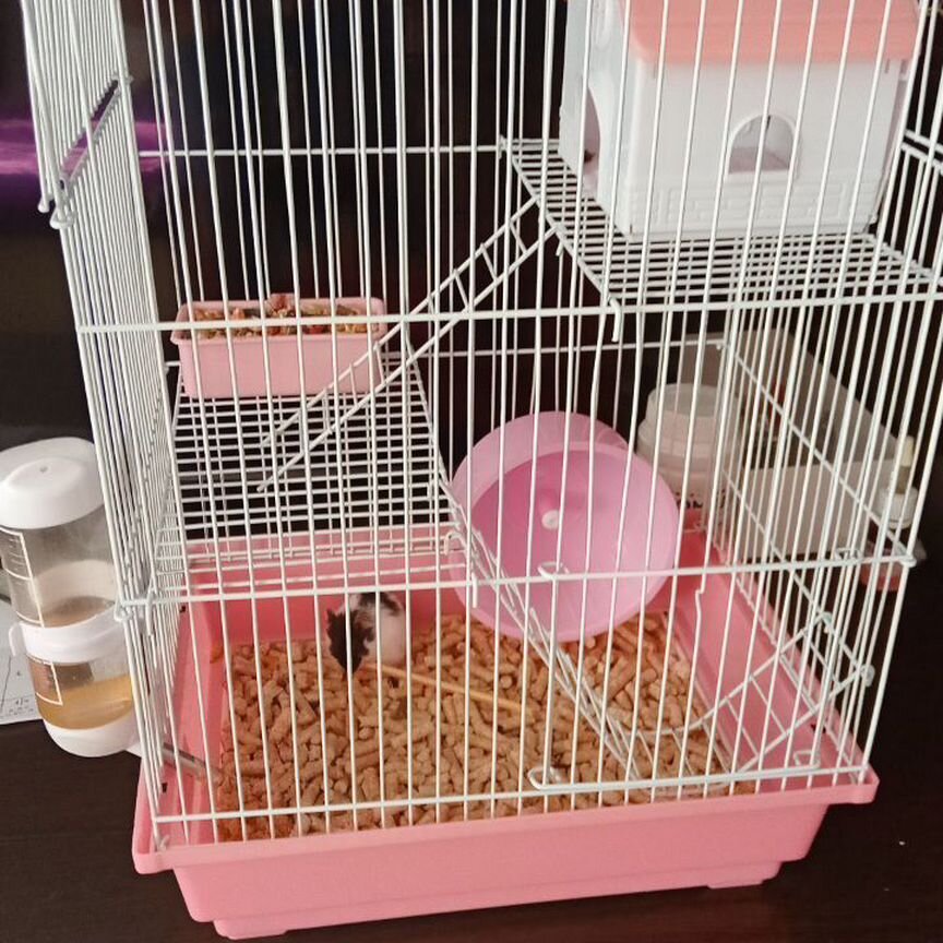 Клетка для грызунов большая