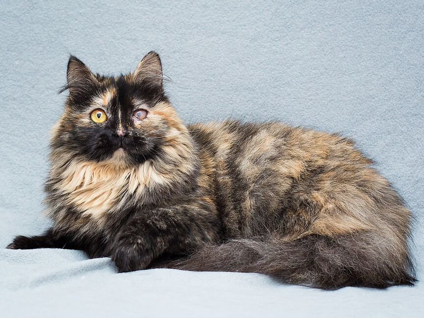 Я так хочу чтобы она наконец уехала домой