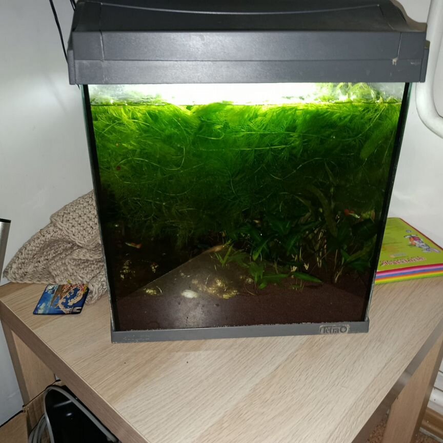 Аквариум Tetra 30L  10 L