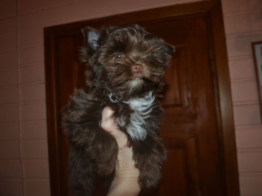 Очаровательный малыш