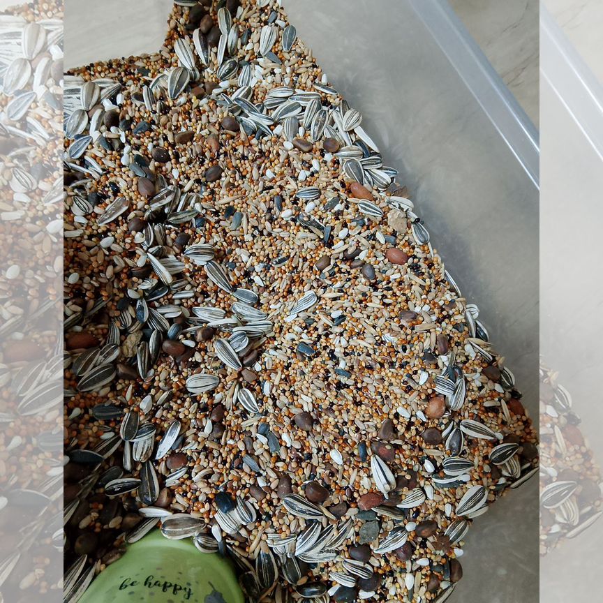 Зерносмесь для средних попугаев