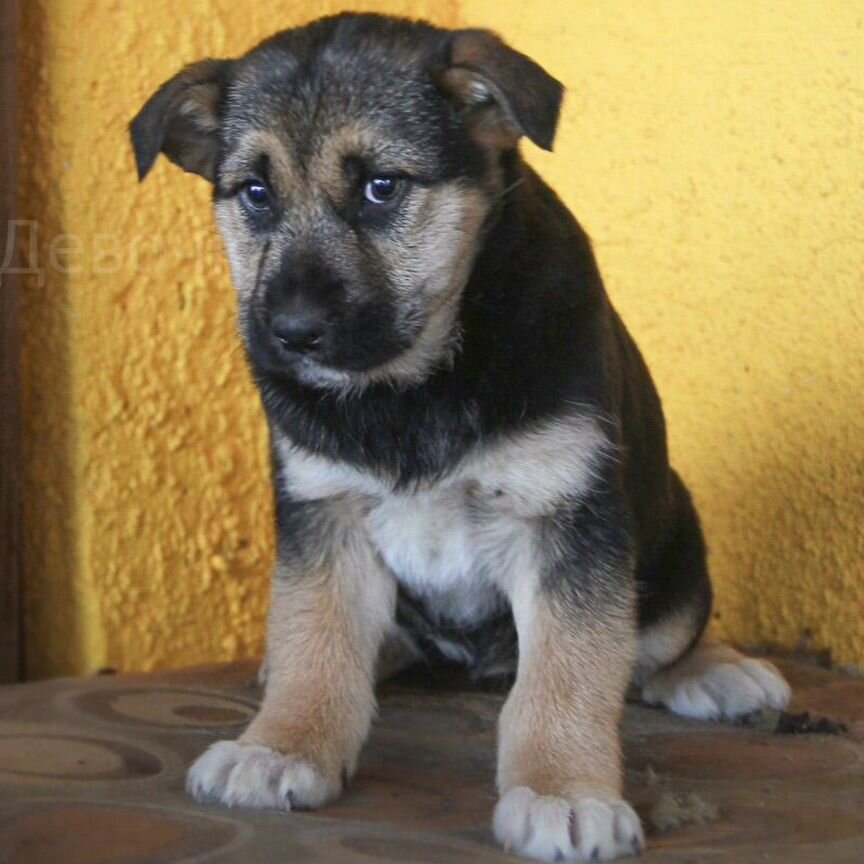 Мне очень нужна мама