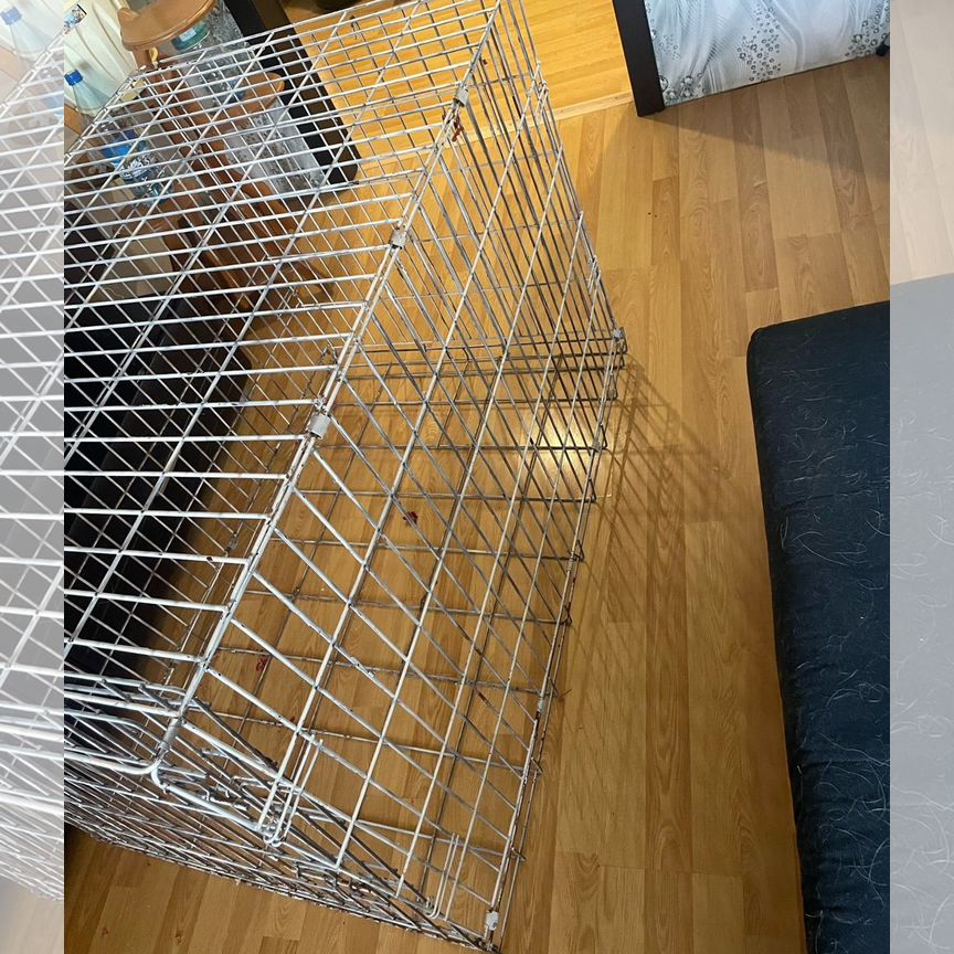 Клетка для животных бу