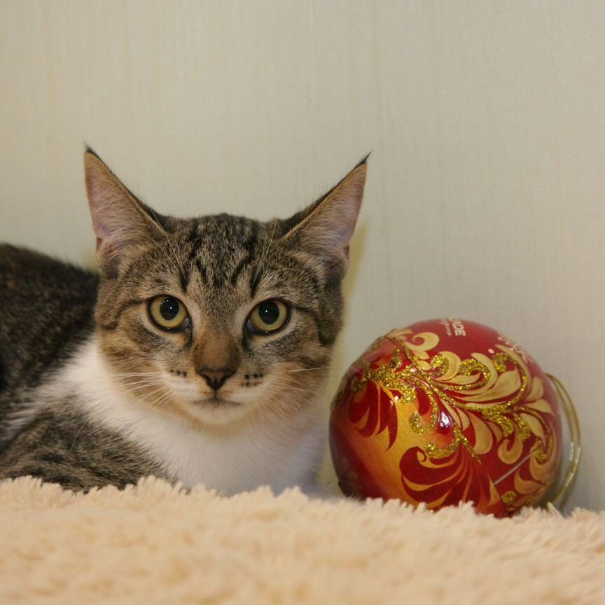 Маша супер ласкуша наша 7 месяцев