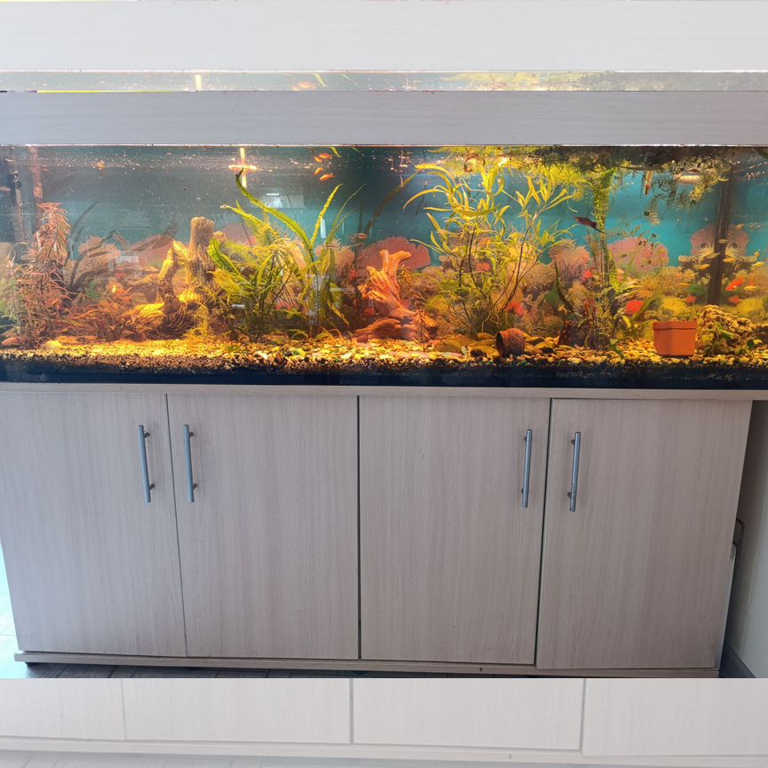 Аквариум на 500 литров
