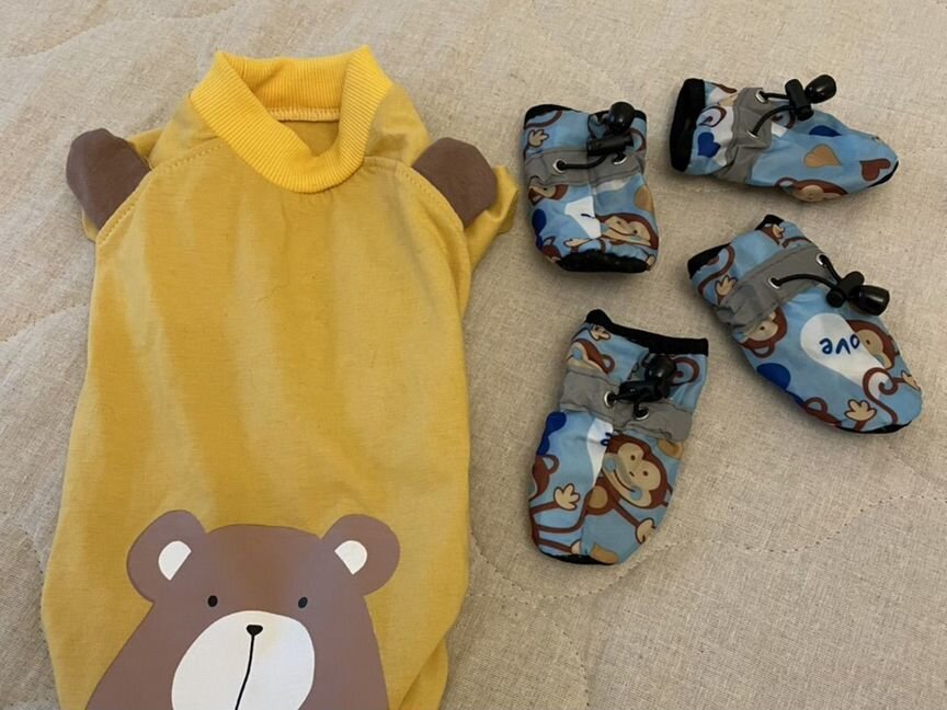 Одежда для маленьких собак