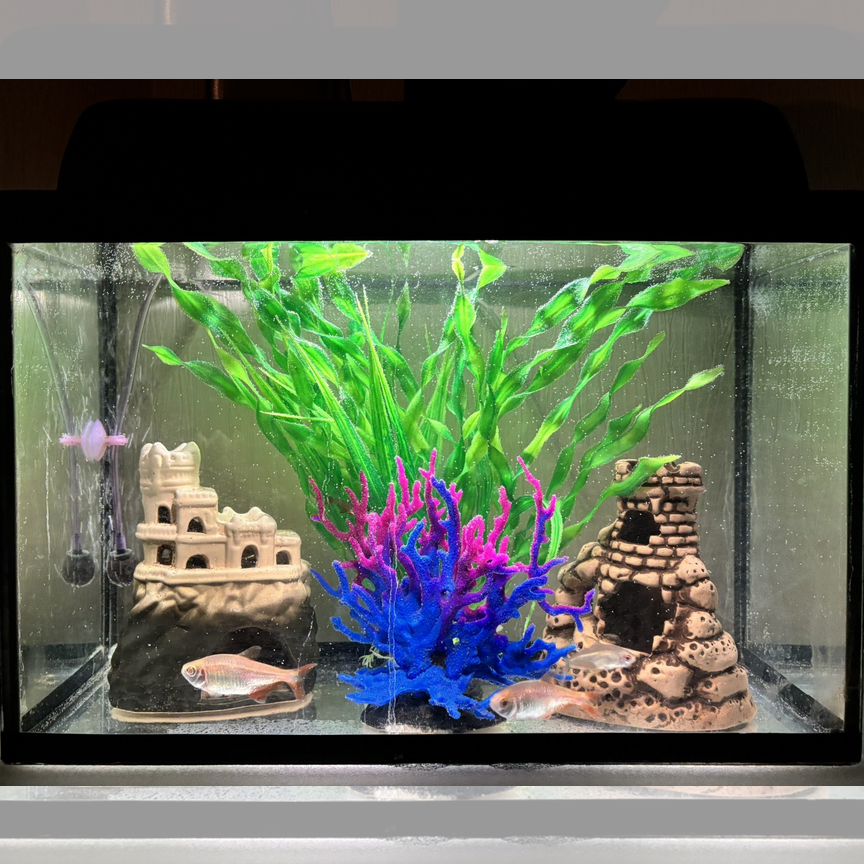 Аквариум 20л   компрессор, кормушка, рыбки