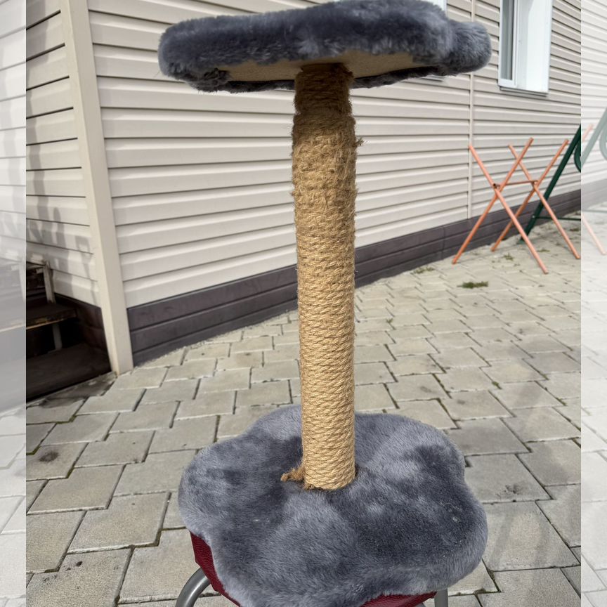 Когтеточка для кошек