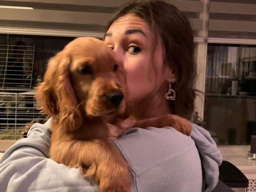 Продам щенка Англ.Кокер