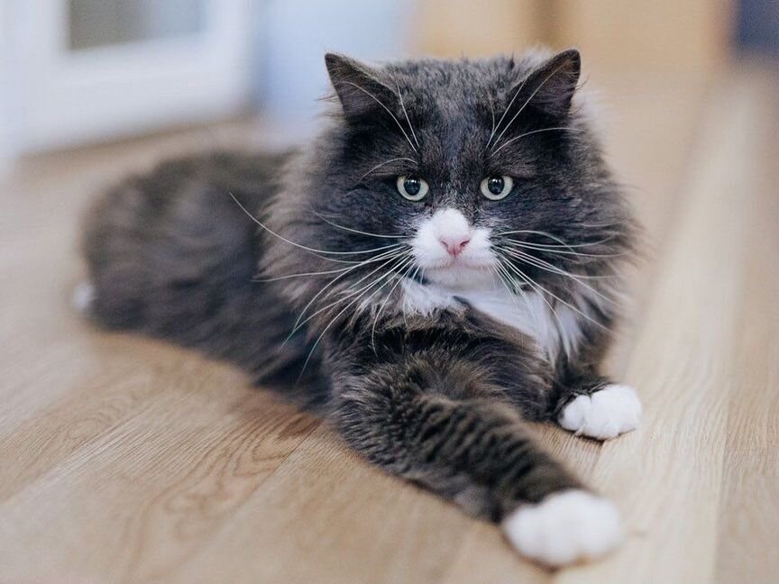 Мистер Грей ищет дом