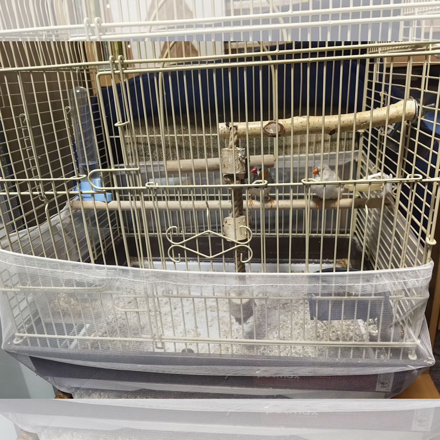 Амадины с клеткой