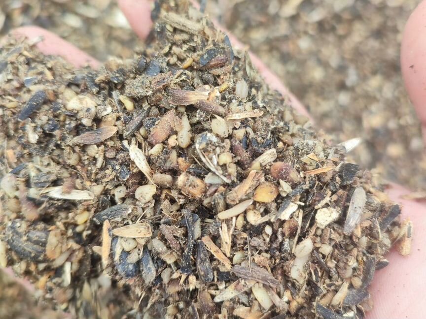 Отходы подсолнечника