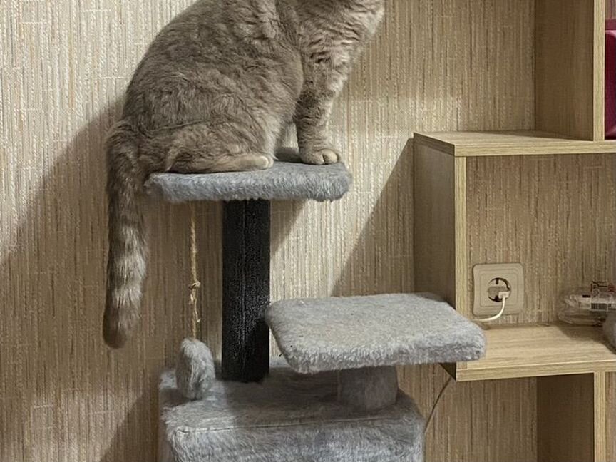 Домик для кошки с когтеточкой