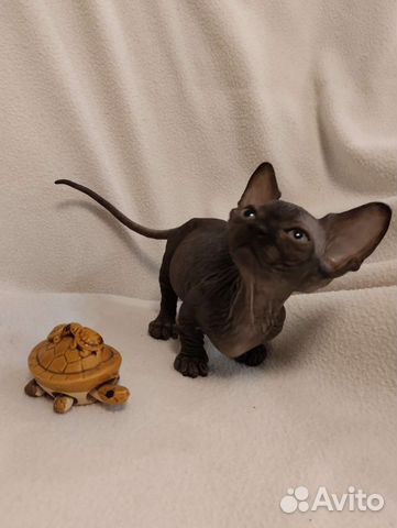 Маьчуган бамбино Пьер