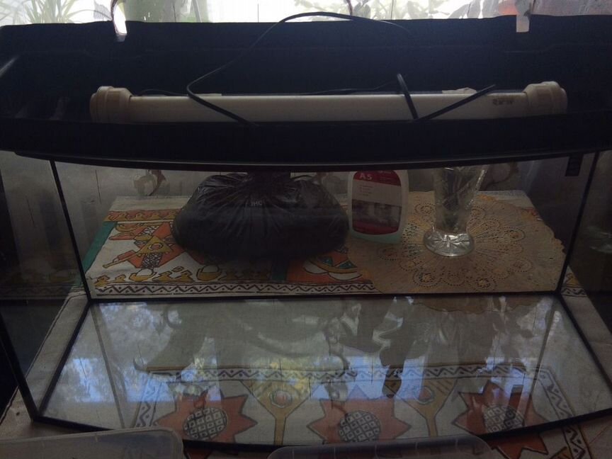 Аквариум 50-60 литров