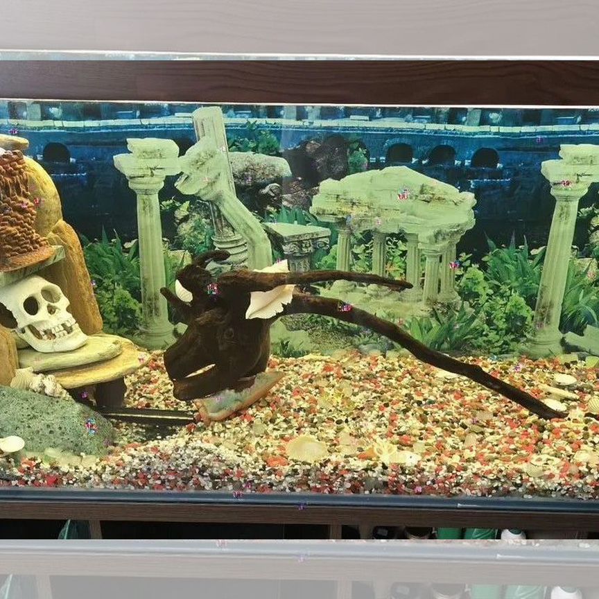 Аквариум с тумбой 500 литров
