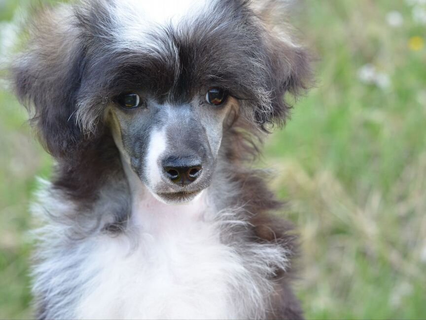 Пуховый мальчик Зосим 4 мес